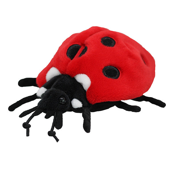 Ladybird Soft Toy – Bristol Museums