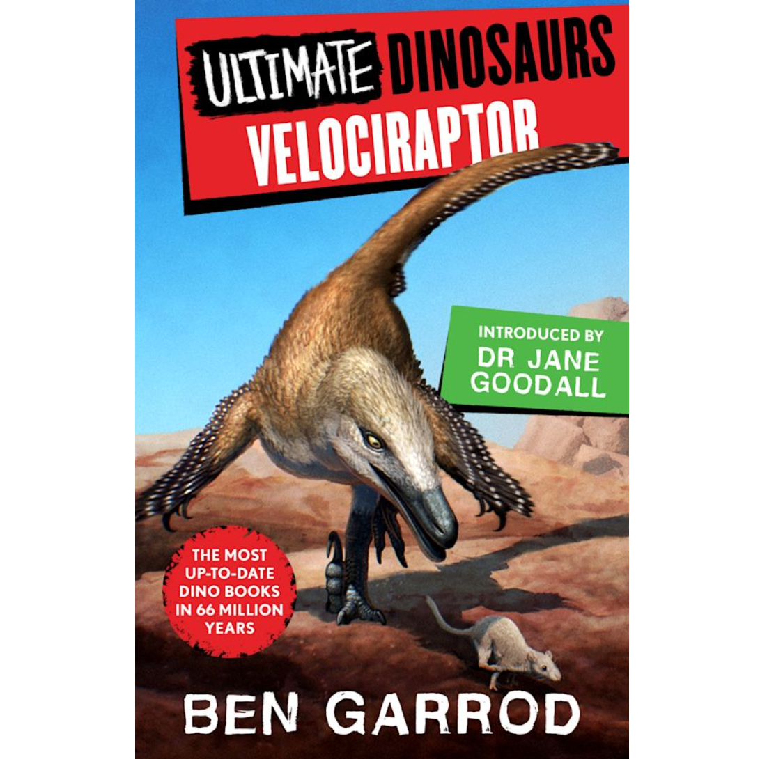 Ultimate Dinosaur Velociraptor – Bristol Museums